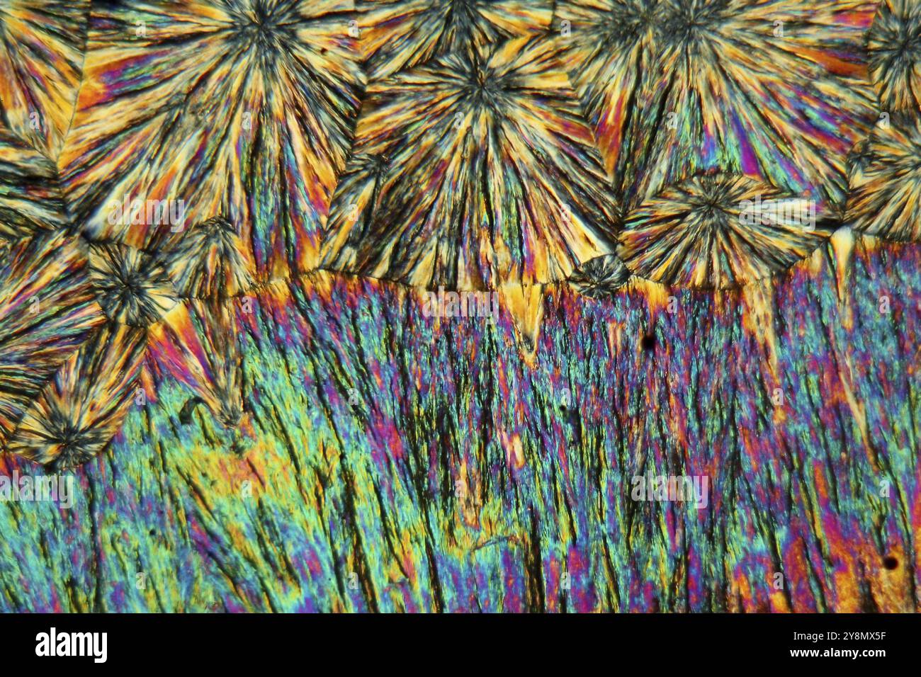 Polarized light microscope hi-res stock photography and images - Alamy