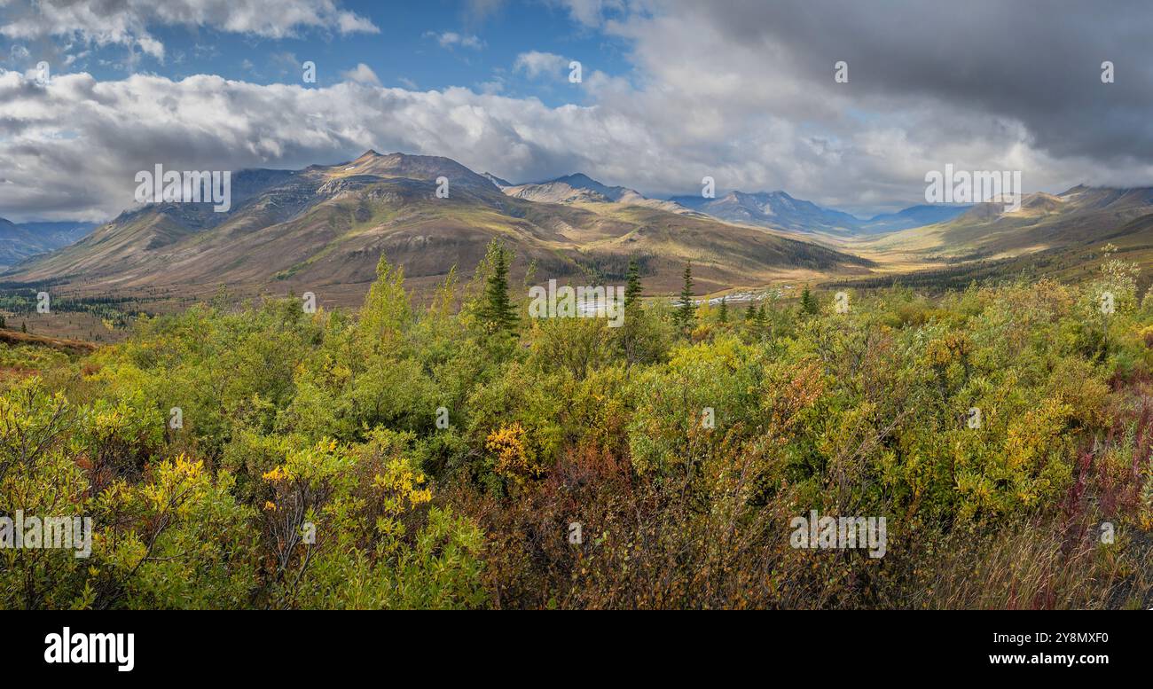 Fall vegetation at the North Fork Pass in Tombstone Territorial Park ...