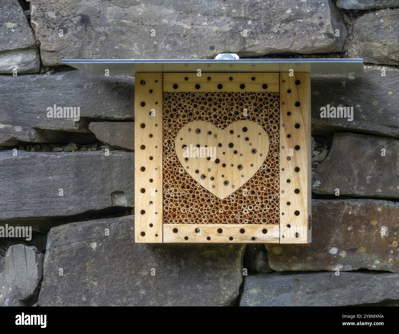 Protection for bugs and insects with a wooden insect hotel with a heart ...