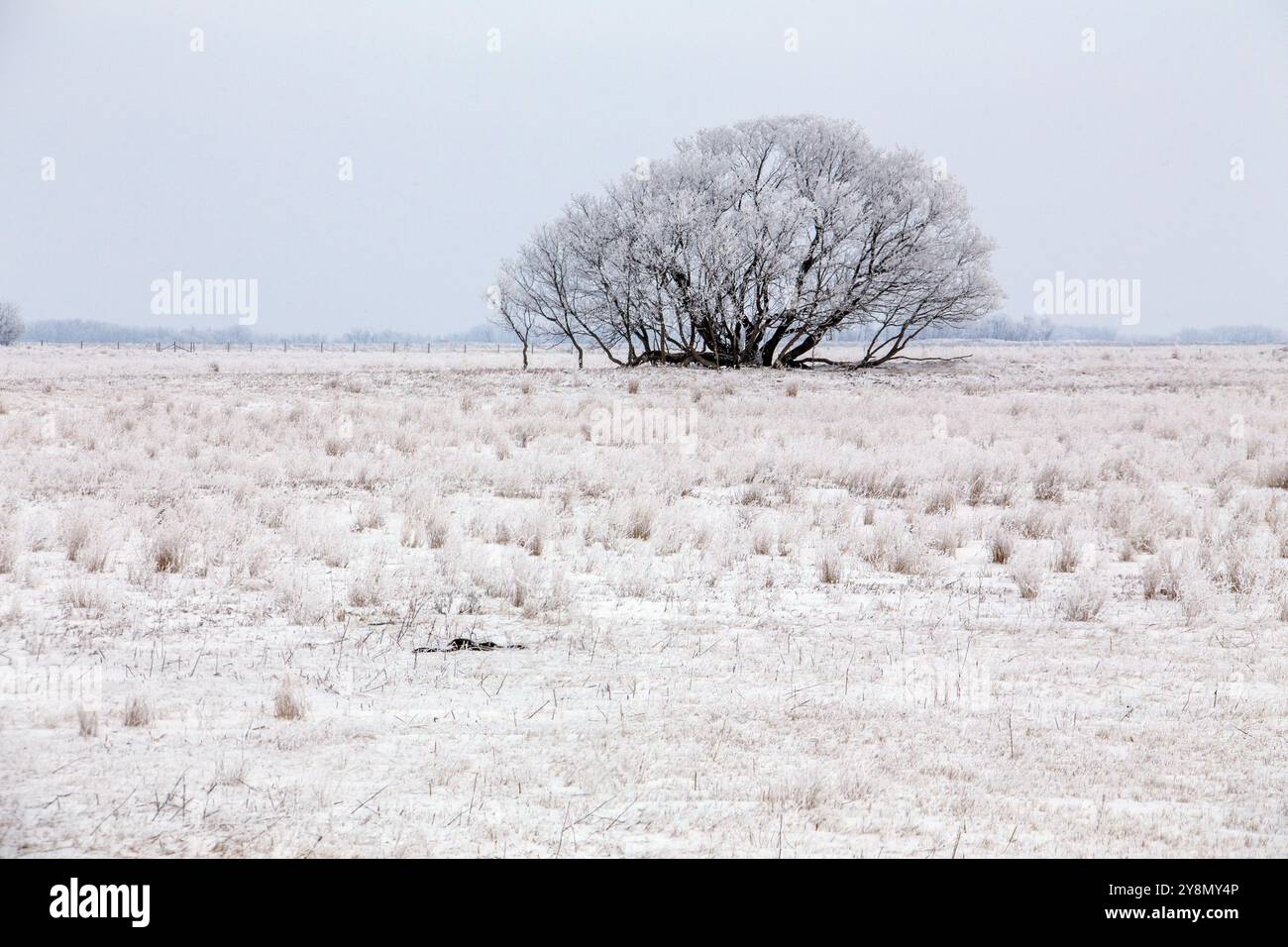 Saskatchewan plains winter extreme cold prairie scenic Stock Photo - Alamy
