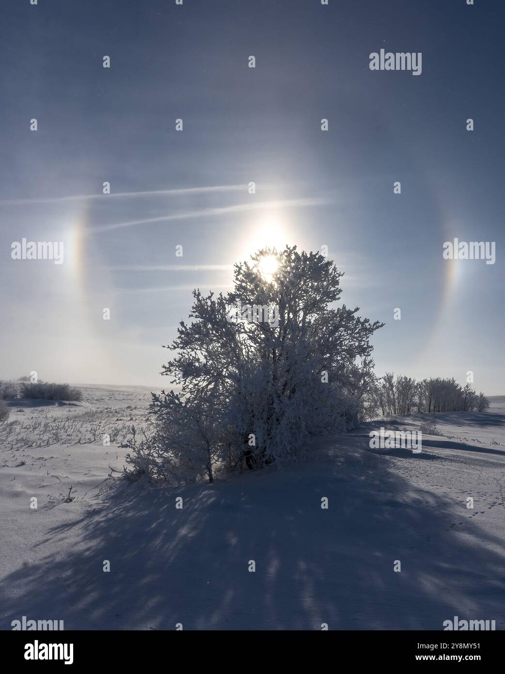 Blizzard [prairies winter storm] hi-res stock photography and images ...