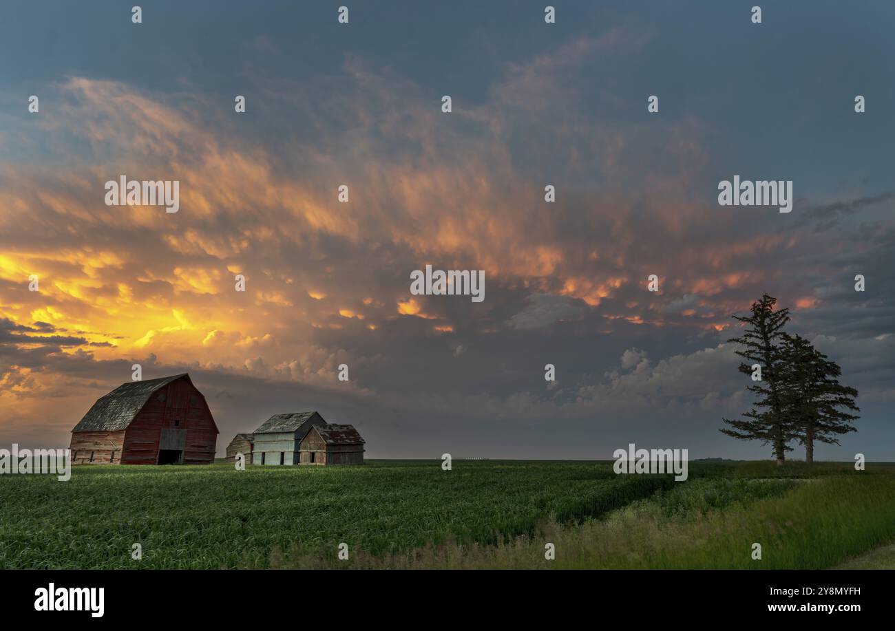 Summer Storms in the Canadian Prairies Dramatic Scenes Stock Photo - Alamy