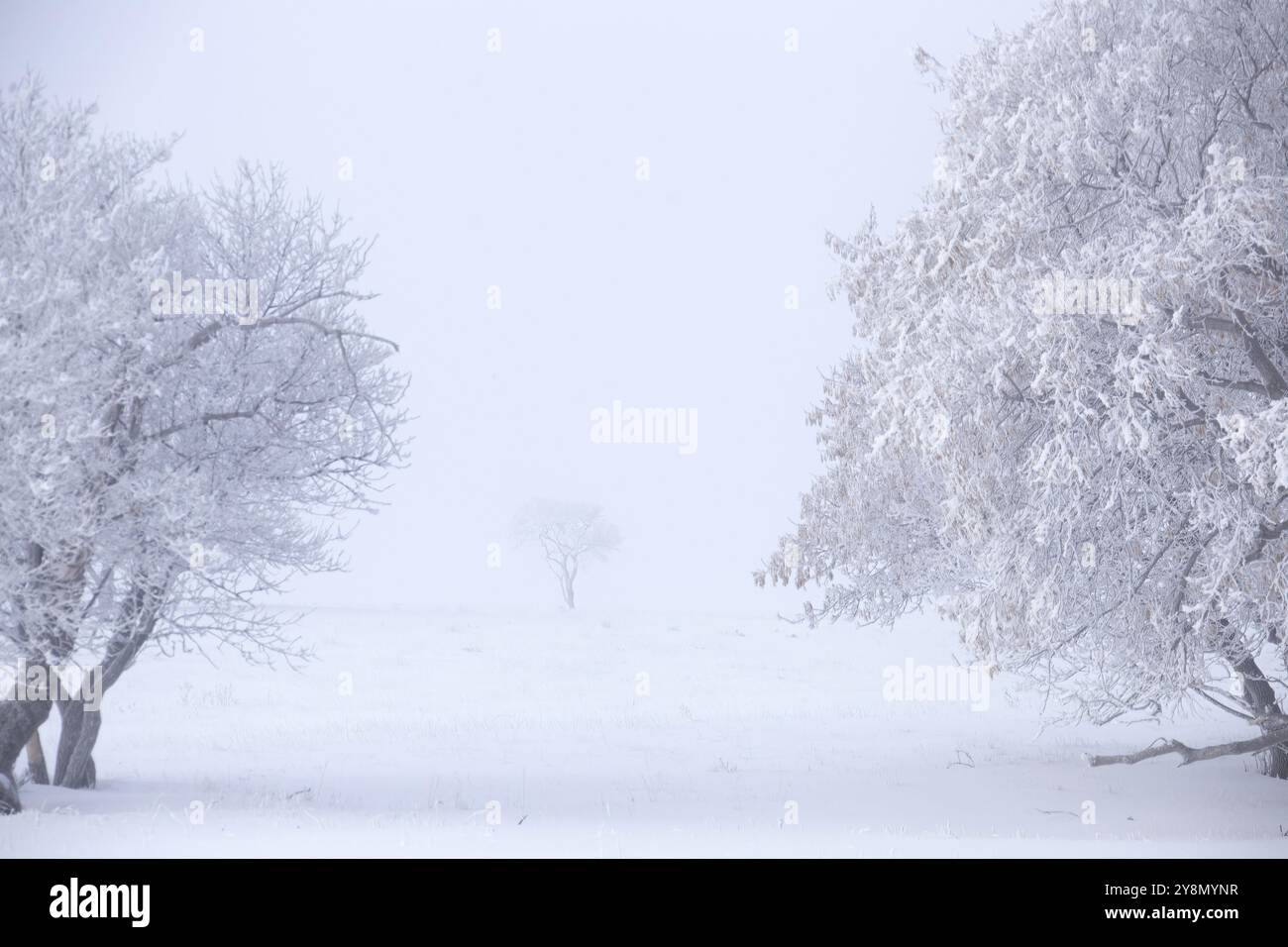 Blizzard [prairies winter storm] hi-res stock photography and images ...