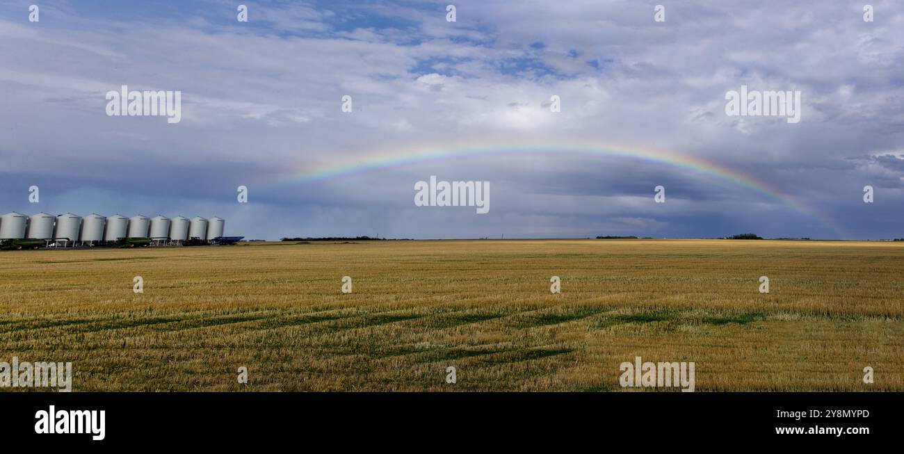 Drought canadian prairies hi-res stock photography and images - Alamy