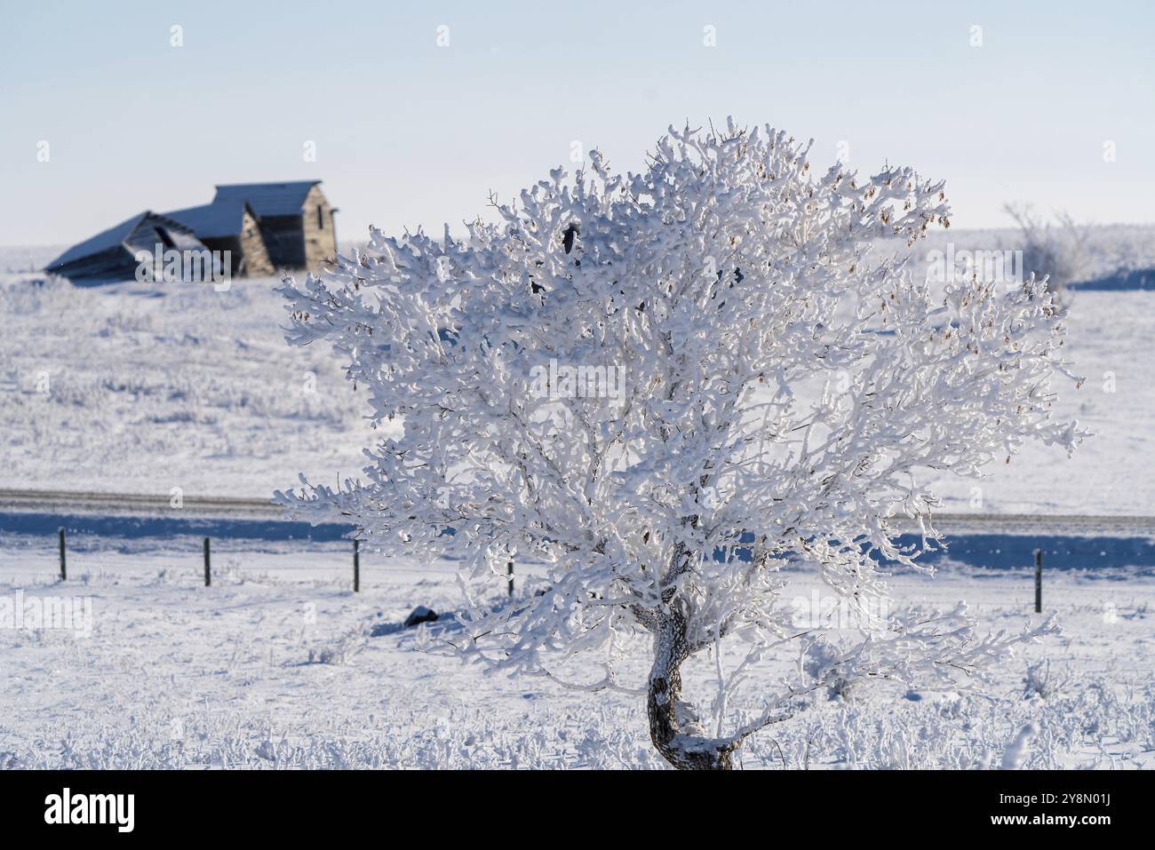 Blizzard [prairies winter storm] hi-res stock photography and images ...