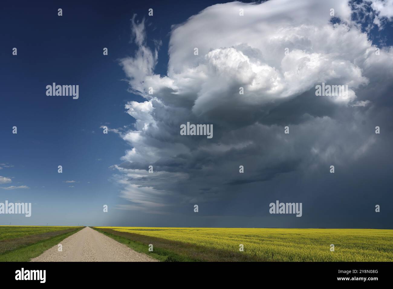 Summer Storms in the Canadian Prairies Dramatic Scenes Stock Photo - Alamy