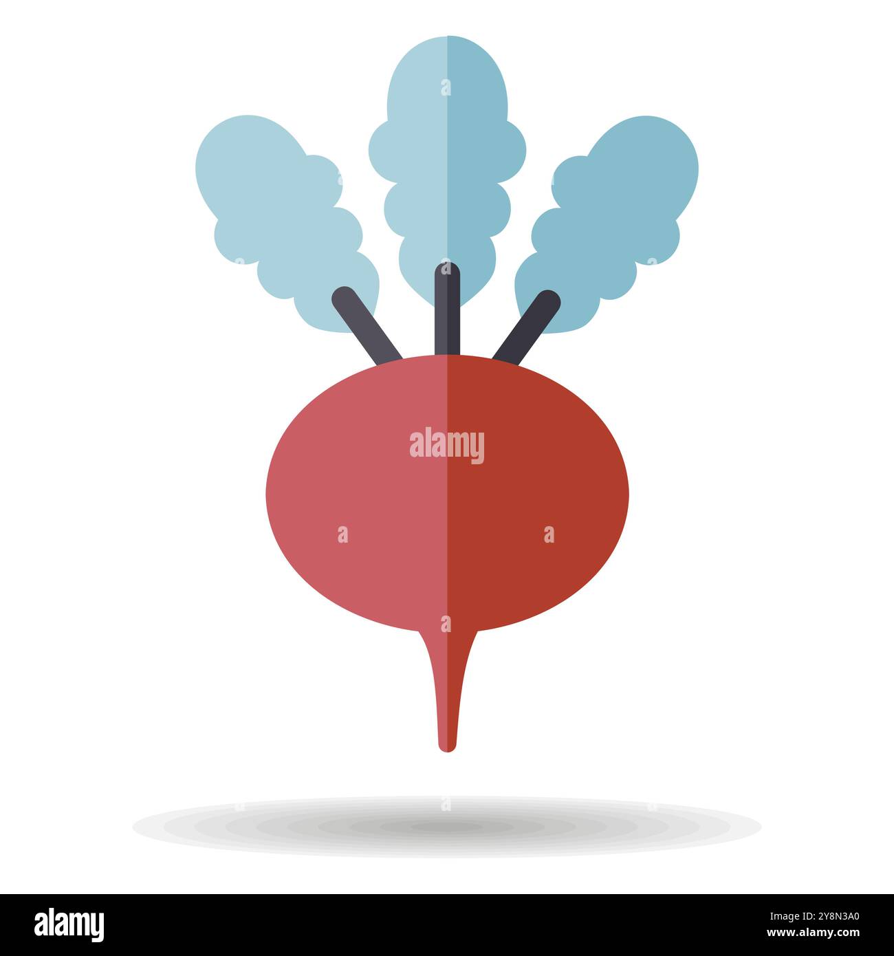 Turnip isolated design vector icon. Vegetable sign. Graph symbol for ...