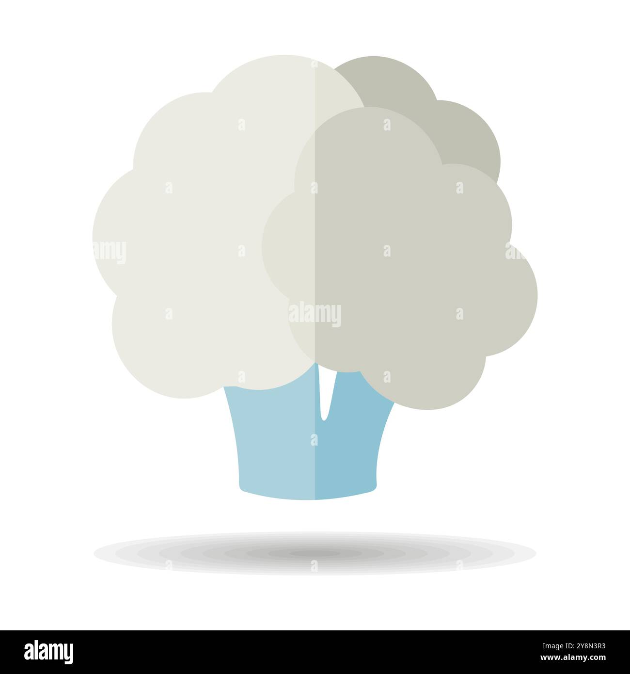 Cauliflower isolated vector icon. Vegetable sign. Graph symbol for food ...