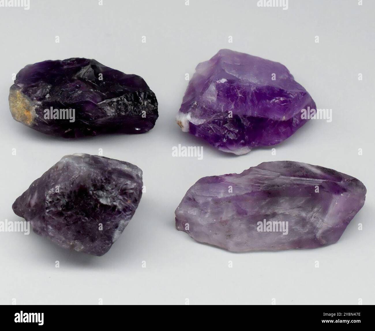 Vibrant characteristics hi-res stock photography and images - Alamy