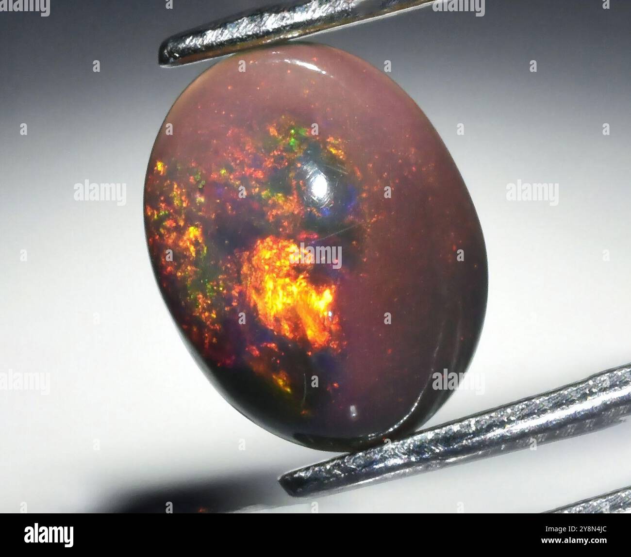 Stunning Opal Gemstone Displaying Vibrant Fire and Iridescent Hues in a ...