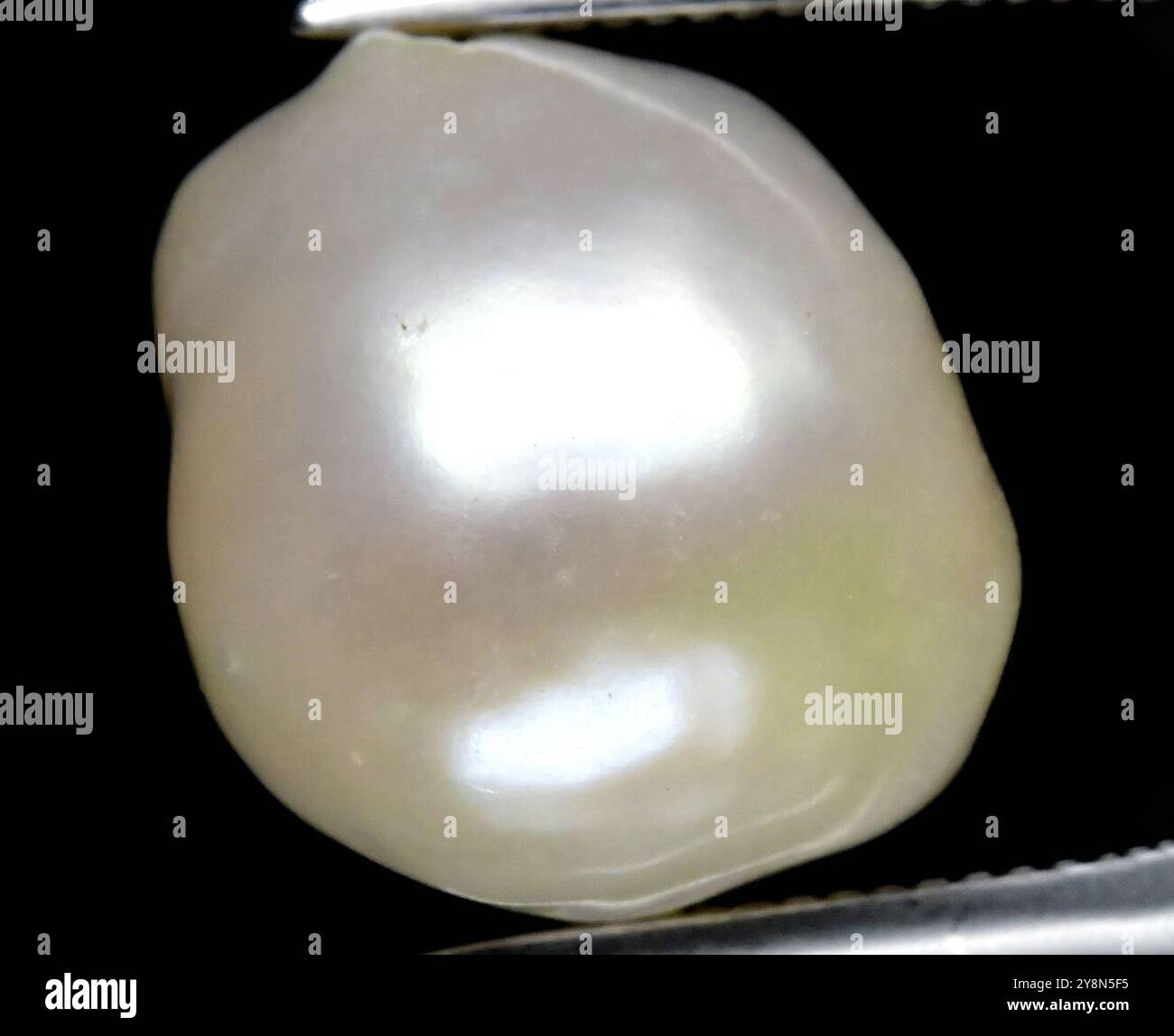 Lustrous finish hi-res stock photography and images - Alamy