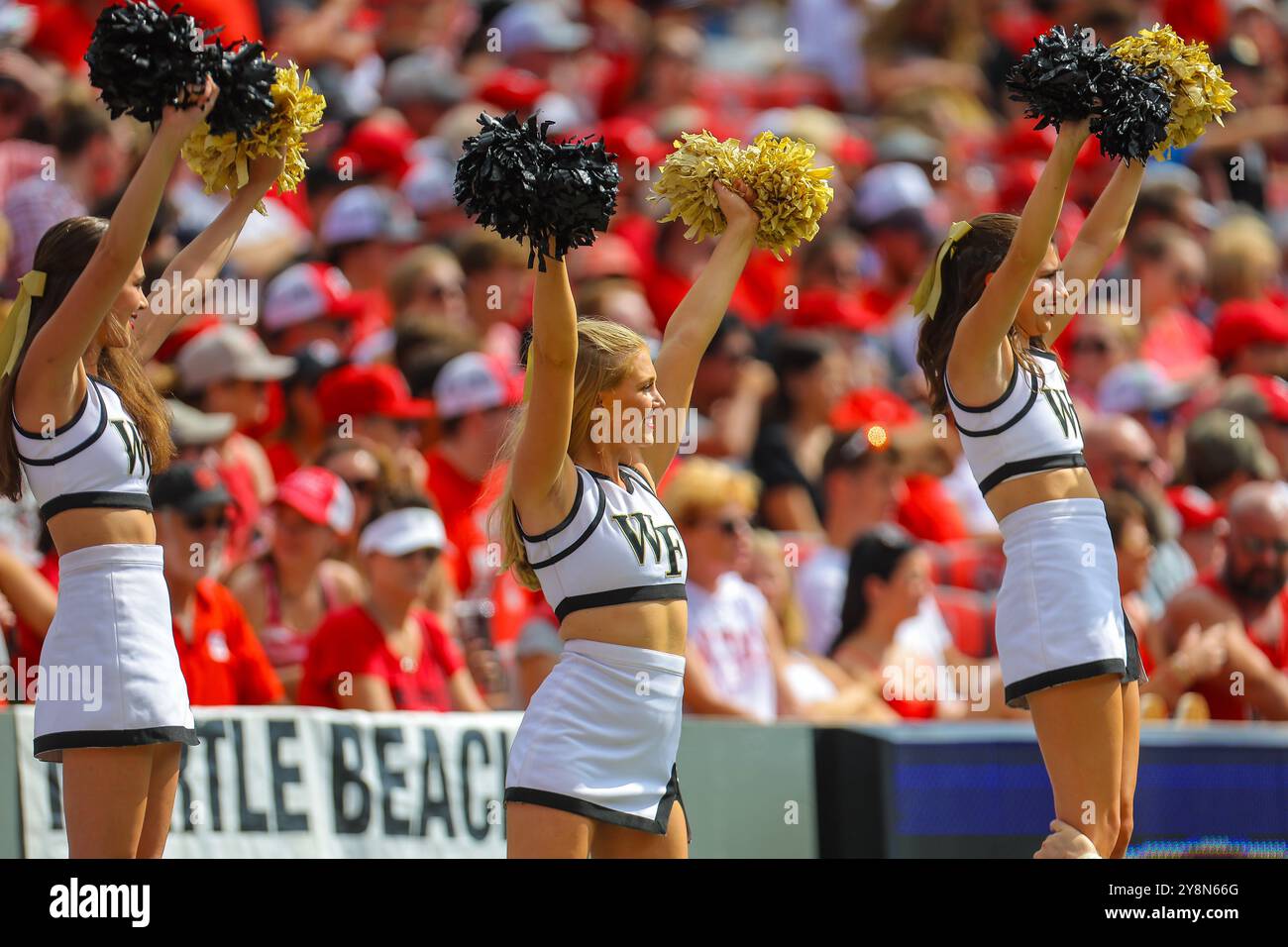 Wake forest demon decons cheerleaders hi-res stock photography and ...