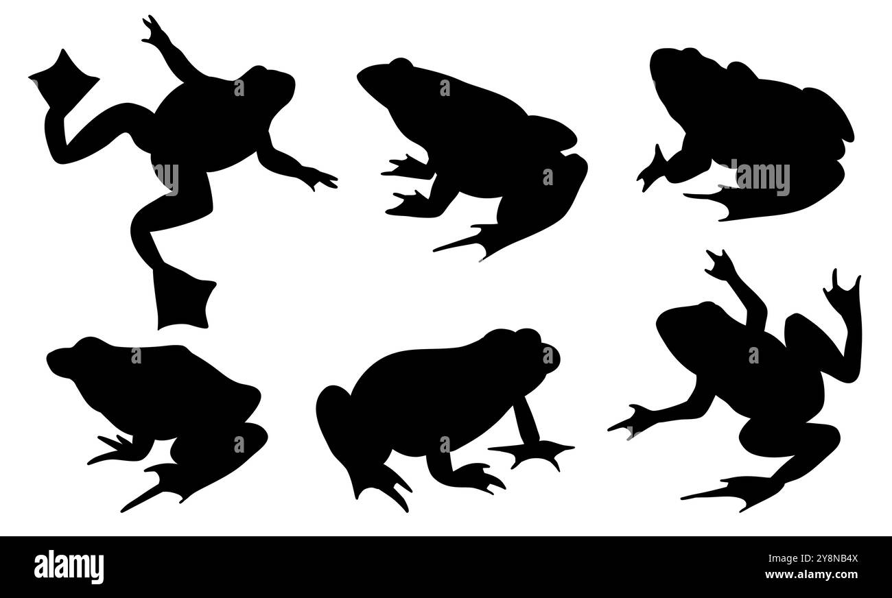 Frogs and toads set of different species in different poses. Different ...
