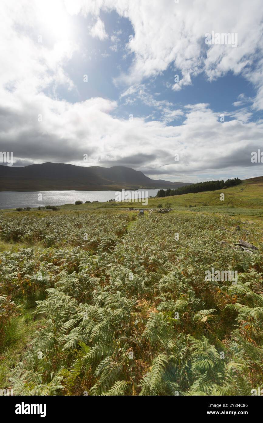 Area of Altnaharra, Scotland. Elevated picturesque view of Loch Naver ...