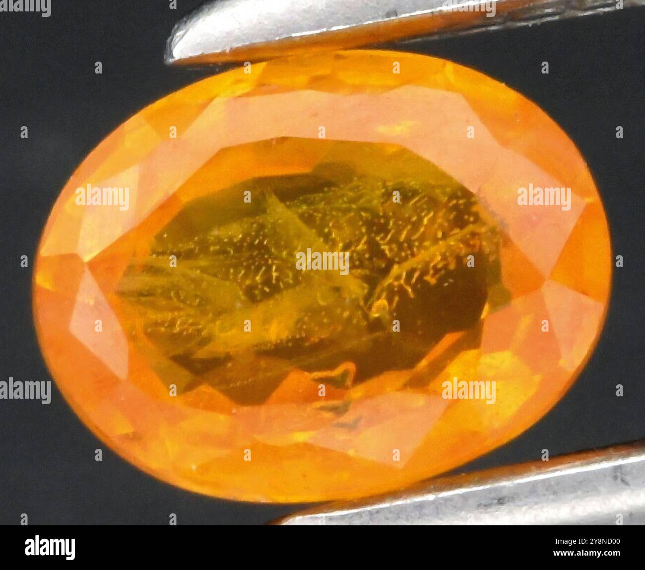 Radiant Golden Yellow Natural Gemstone with Intriguing Inclusions ...