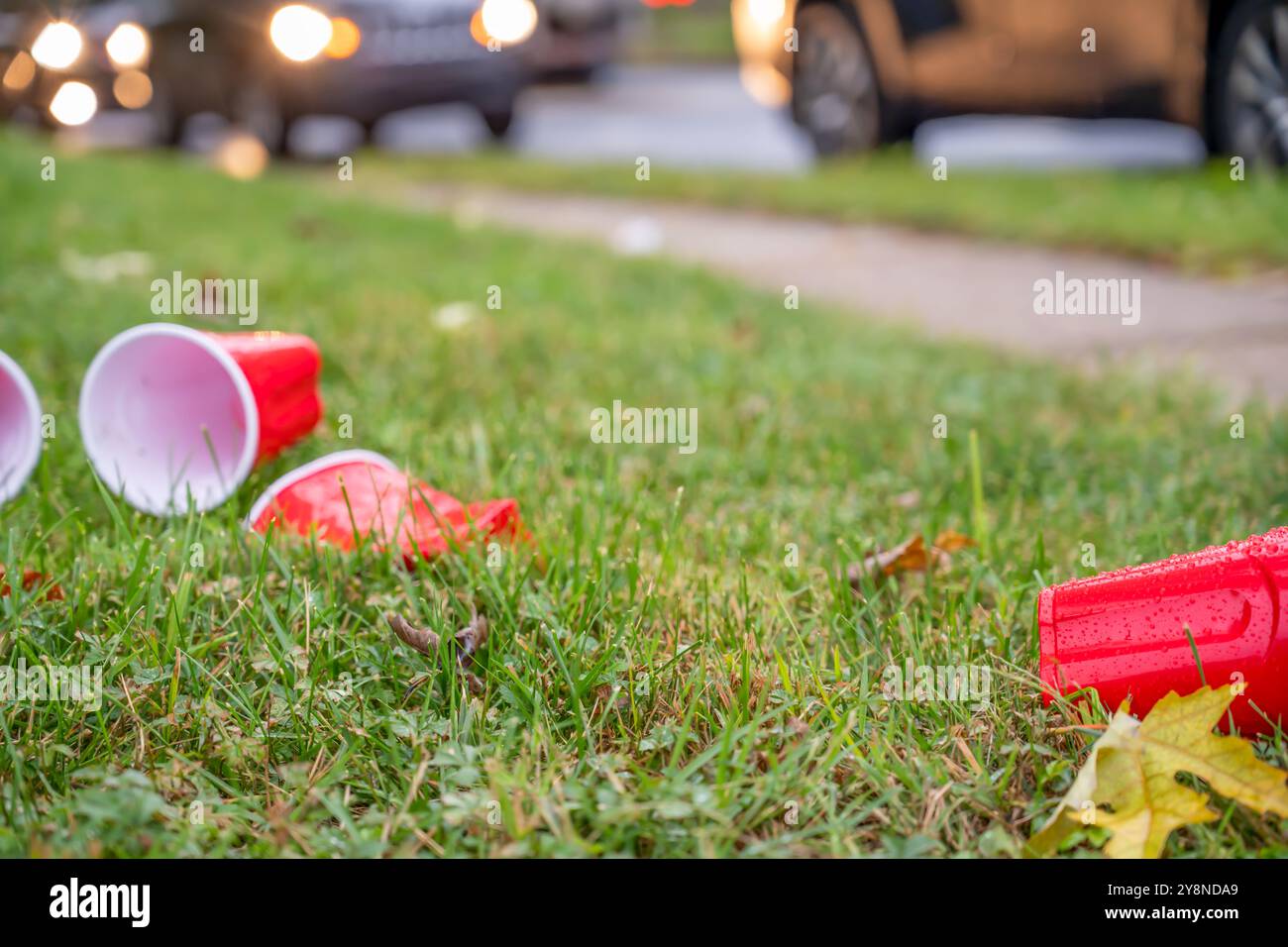 Crushed and discarded red plastic cups after a college party Stock ...