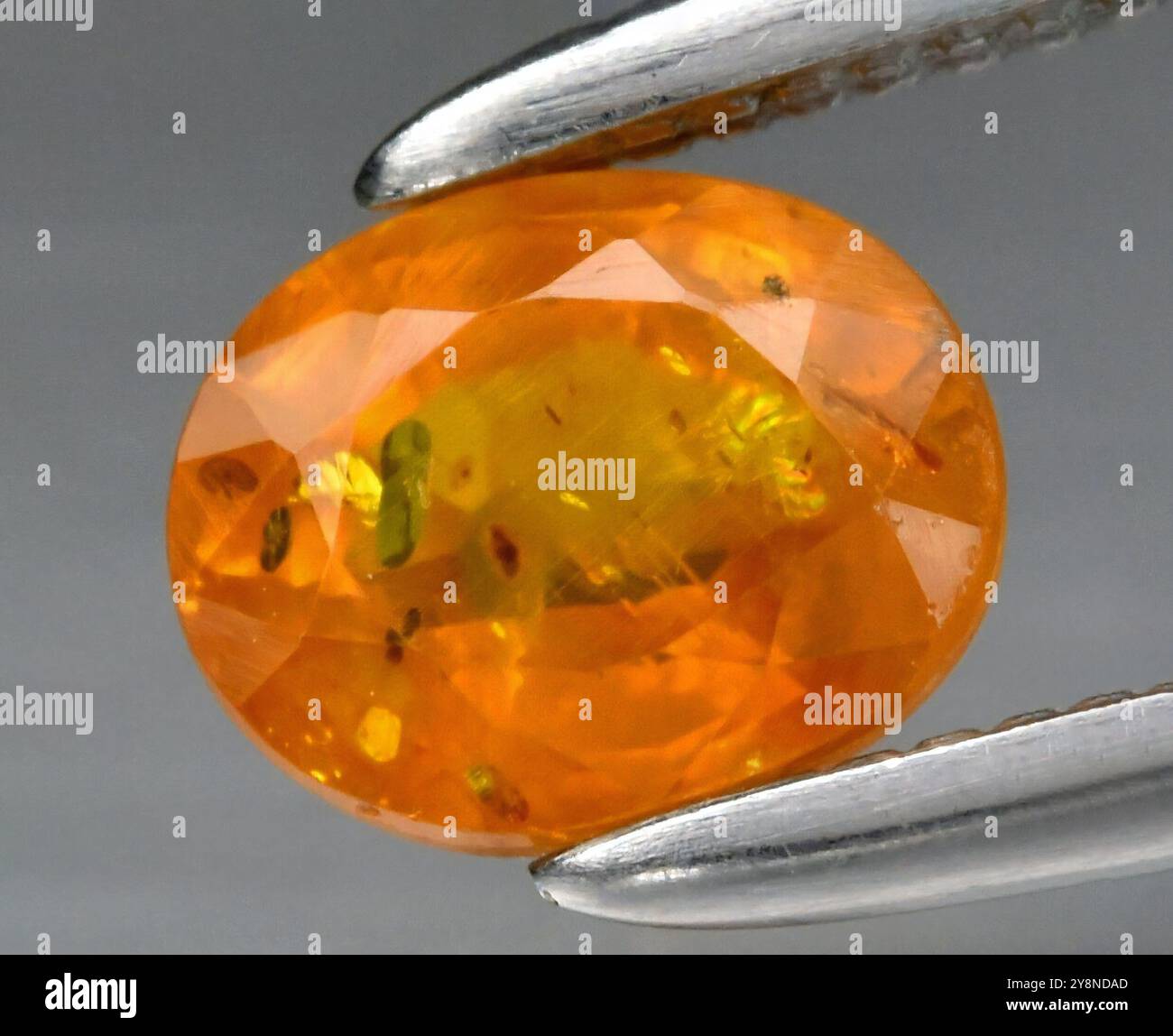 Exquisite Orange Amber Gemstone with Unique Inclusions Showcased in a ...