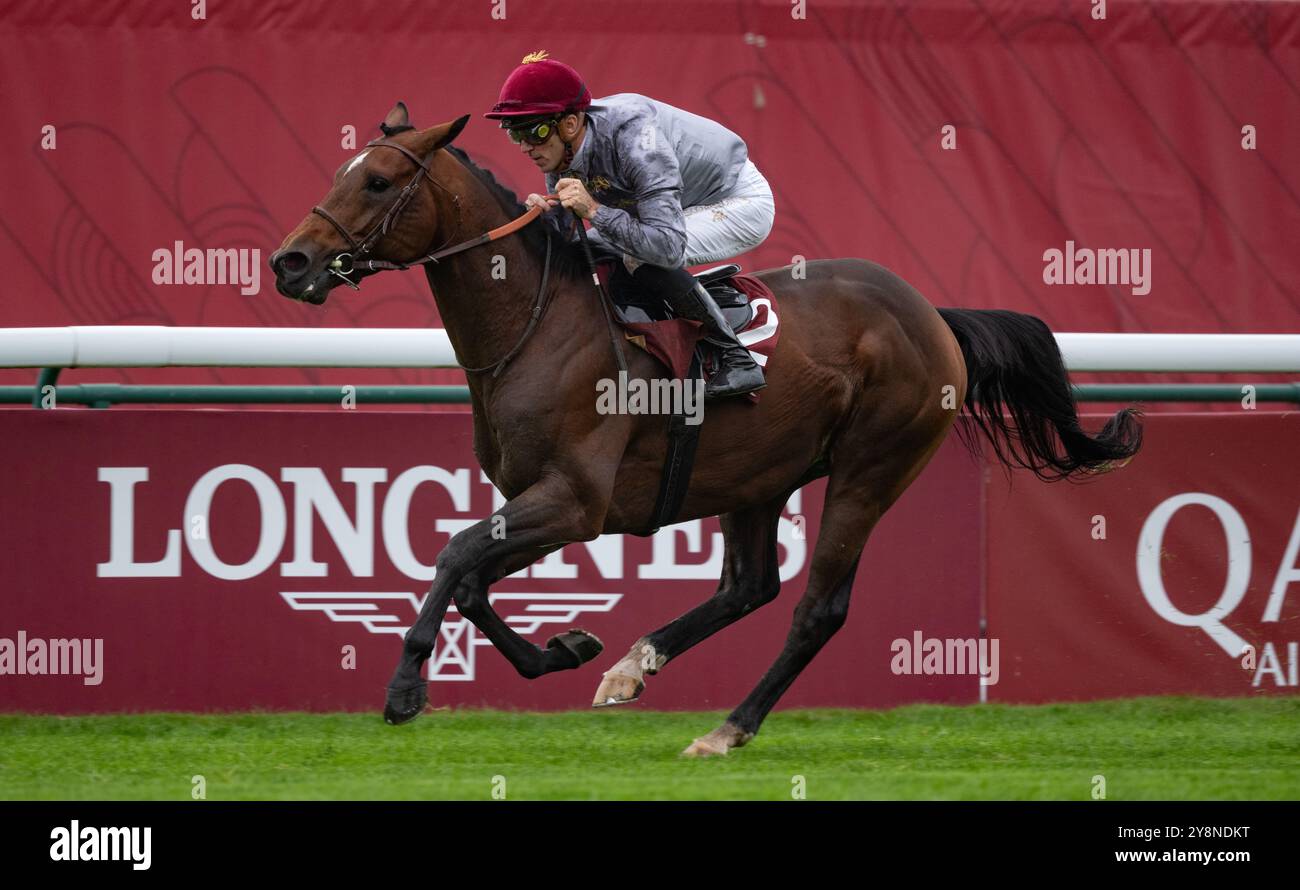 Qatar arabian world cup group 1 hi-res stock photography and images - Alamy