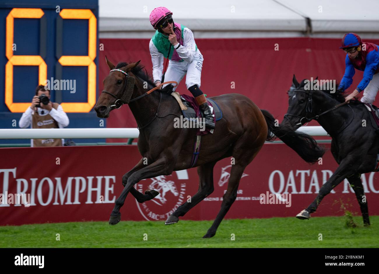 Bluestocking horse hi-res stock photography and images - Alamy