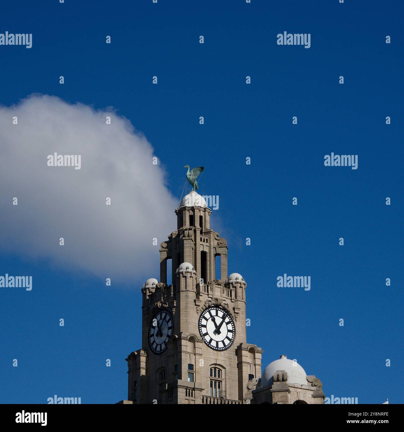 Liver bird on a clock tower in Liverpool, UK Stock Photo - Alamy