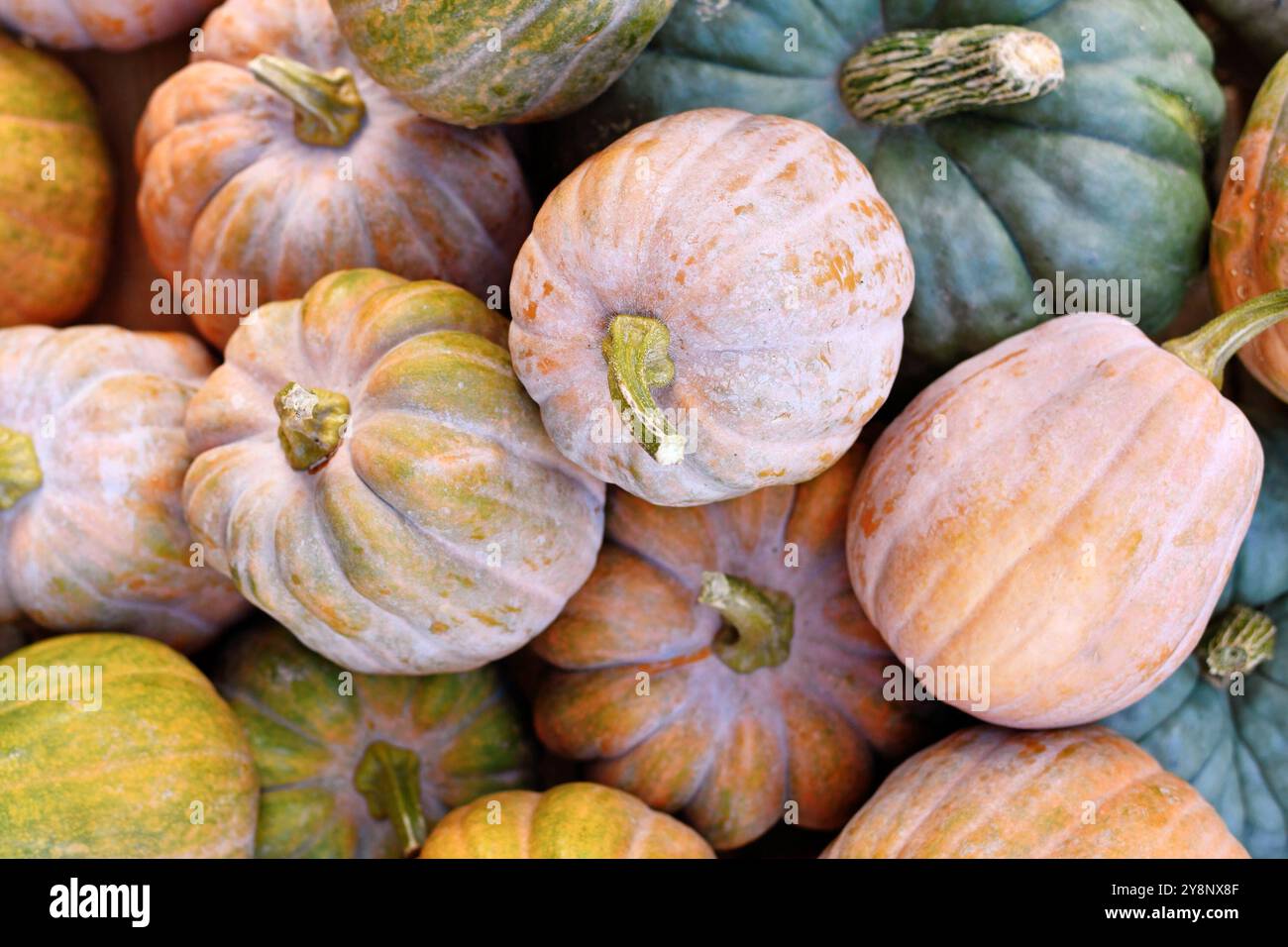 Mix of small hi-res stock photography and images - Alamy