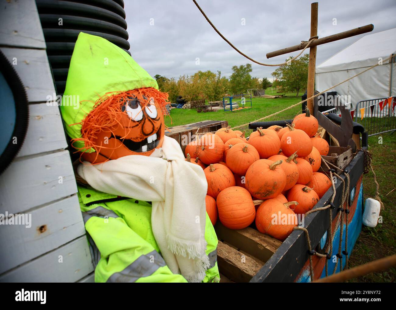 Families visit pumpkin world for Halloween spooky shows, laughter and ...