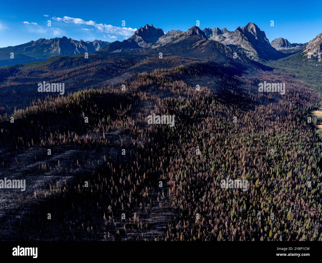 Bench Lake fire burn near Stanley Idaho Stock Photo - Alamy