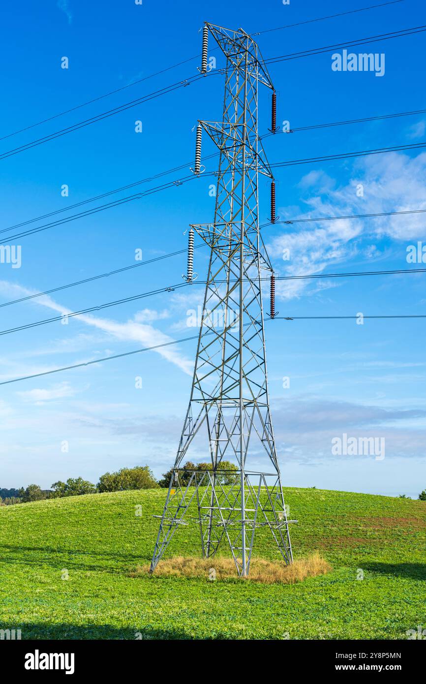UK Electricity Pylon in a field with a blue sky in portrait orientation ...