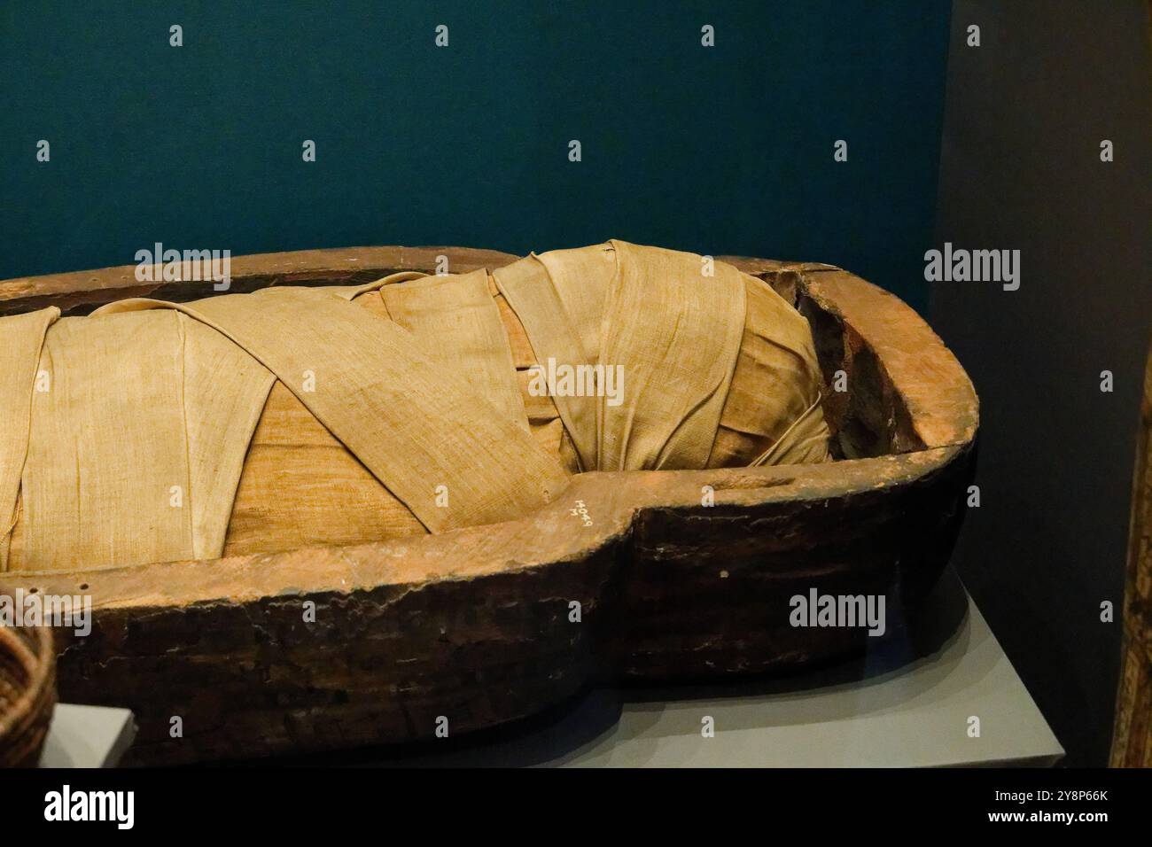 Mummy wrapped hi-res stock photography and images - Alamy