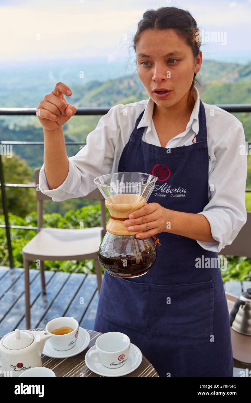 Hacienda San Alberto, Cafetal, Coffee plantations, Coffee Cultural ...