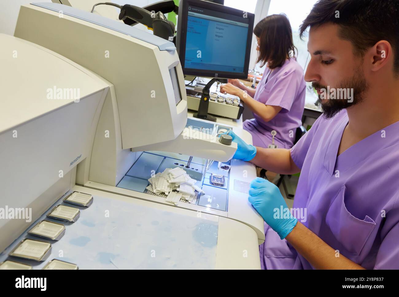 Waxed, HistoStar Embedding Workstation, Histology, Sample preparation ...