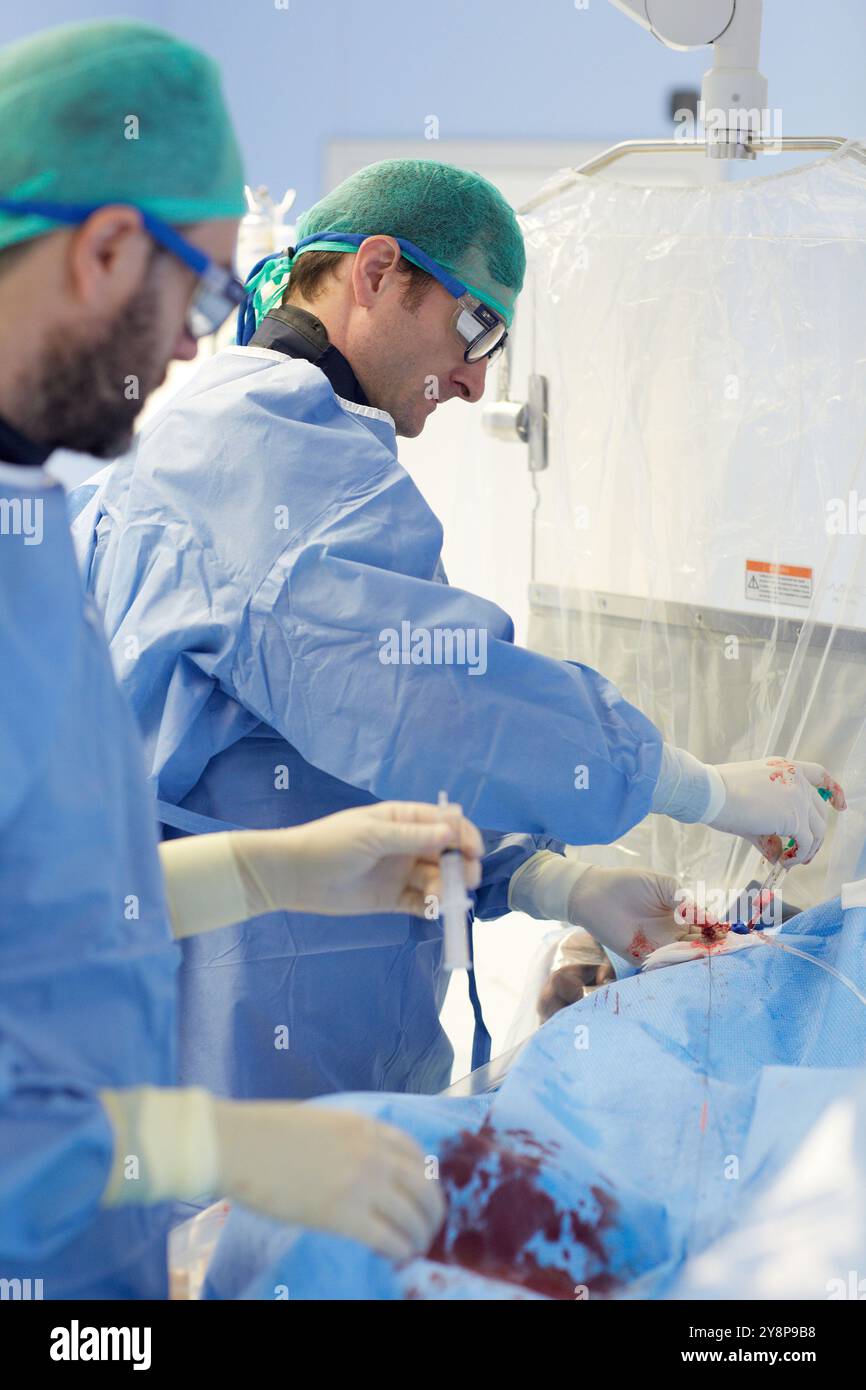 Angioplasty, Stenting in coronary arteries, Hemodynamic, Operating room ...