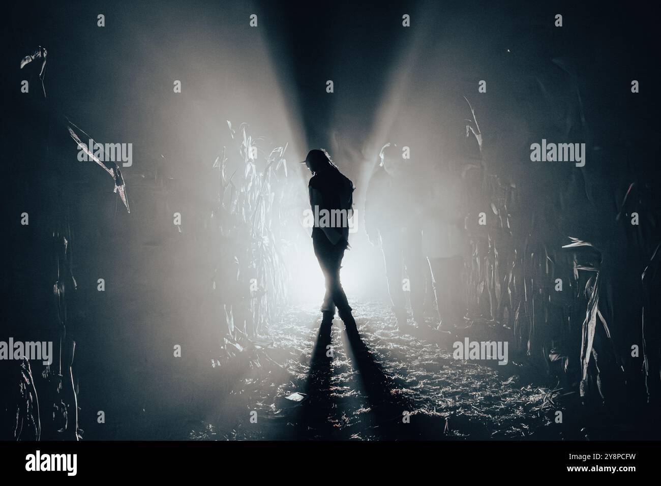 Frankfurth, October 2022/23 Horror Maze labyrinth Stock Photo - Alamy
