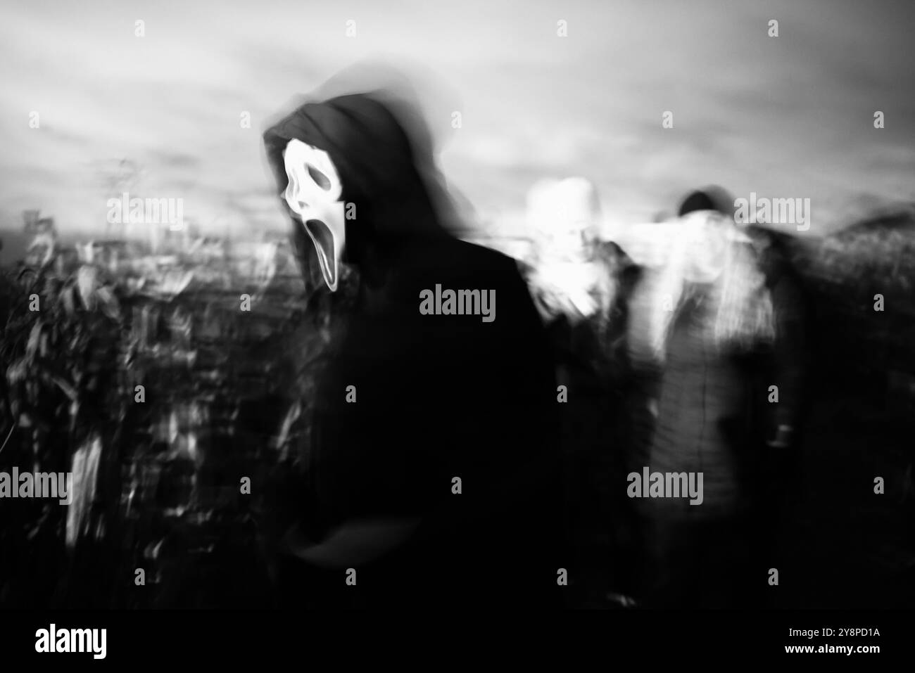 Frankfurth, October 2022/23 Horror Maze labyrinth Stock Photo - Alamy