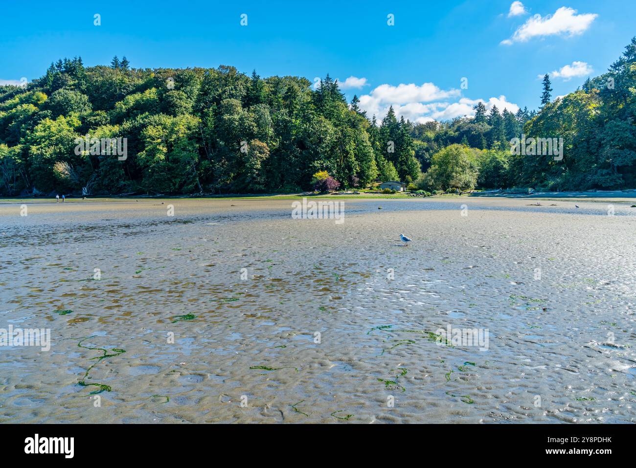 A view of the shoreline at Dash Point State Park in Washington State ...