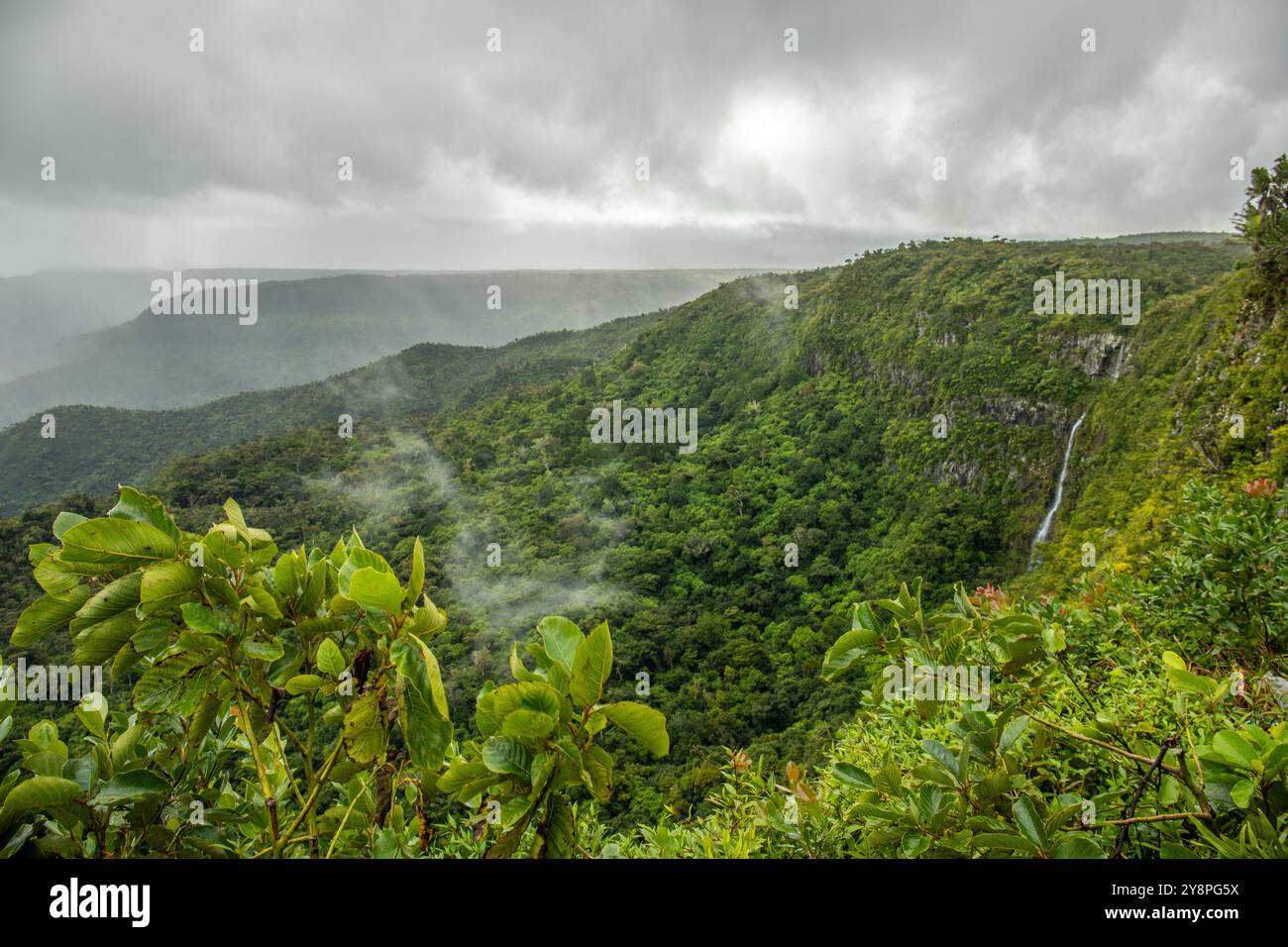 Viewpoint overlooking the jungle. Tropical vegetation, at the Gorges ...