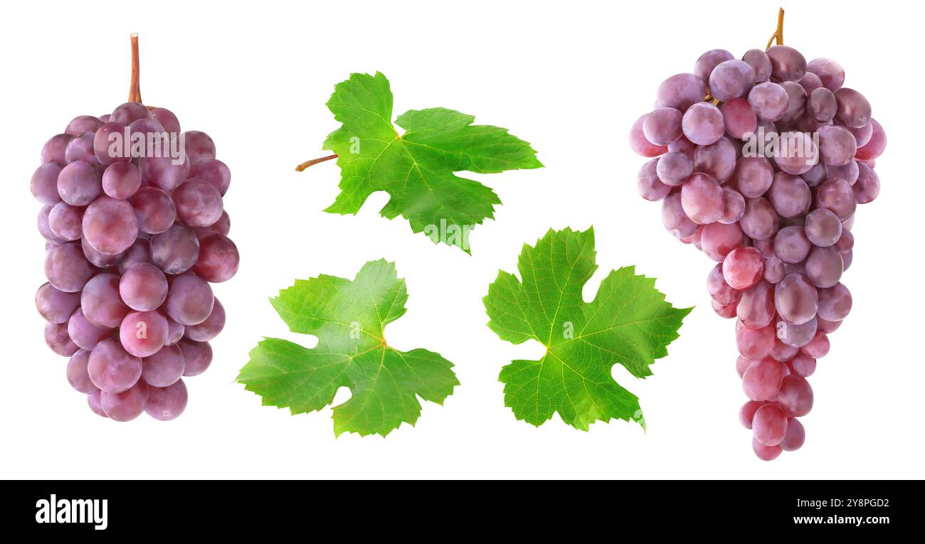 Collection of red grapes fruits and leaves cut out Stock Photo - Alamy