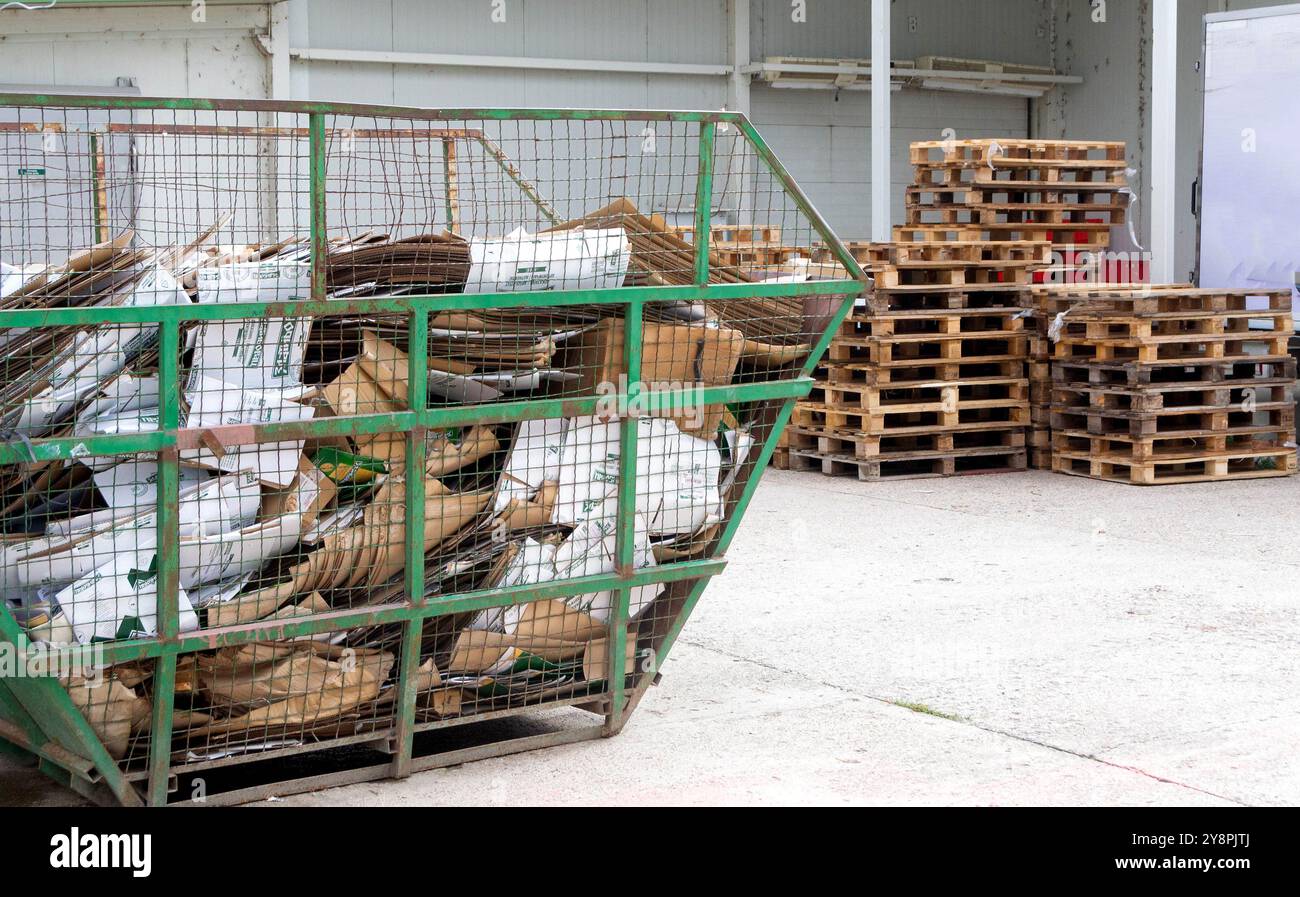 A recycling bin for paper placed beside wooden pallets, highlighting ...