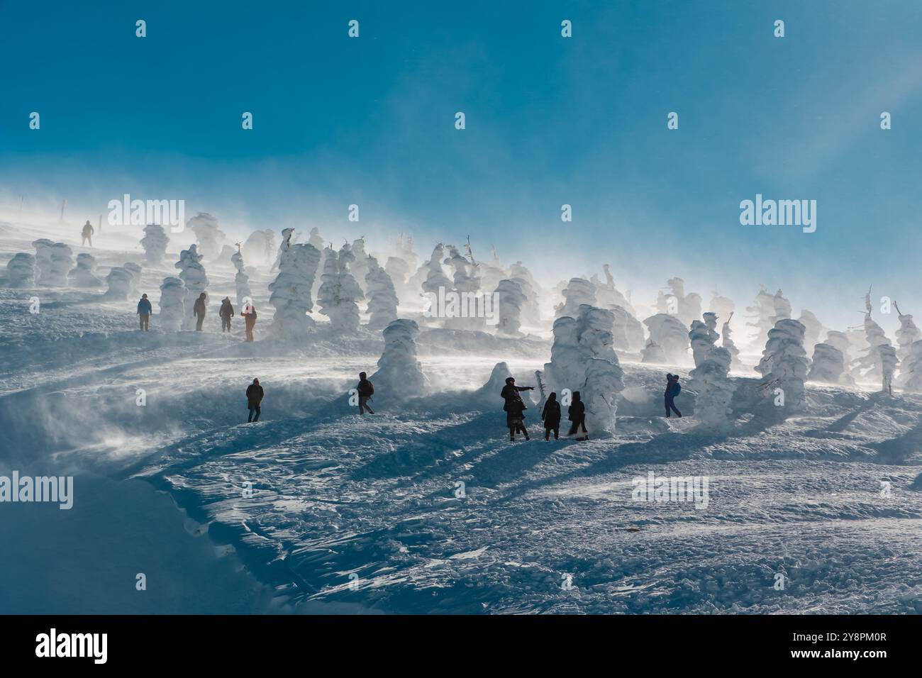 Hikers amongst the wind-swept Snow Monsters at Zao on a freezing cold ...