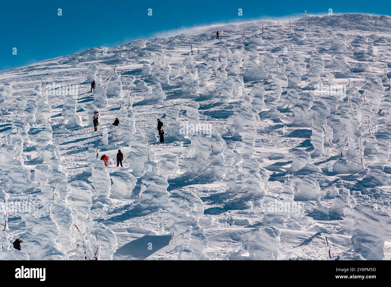 Hikers and skiers exploring the frozen "Snow Monsters" at Zao-Onsen in ...