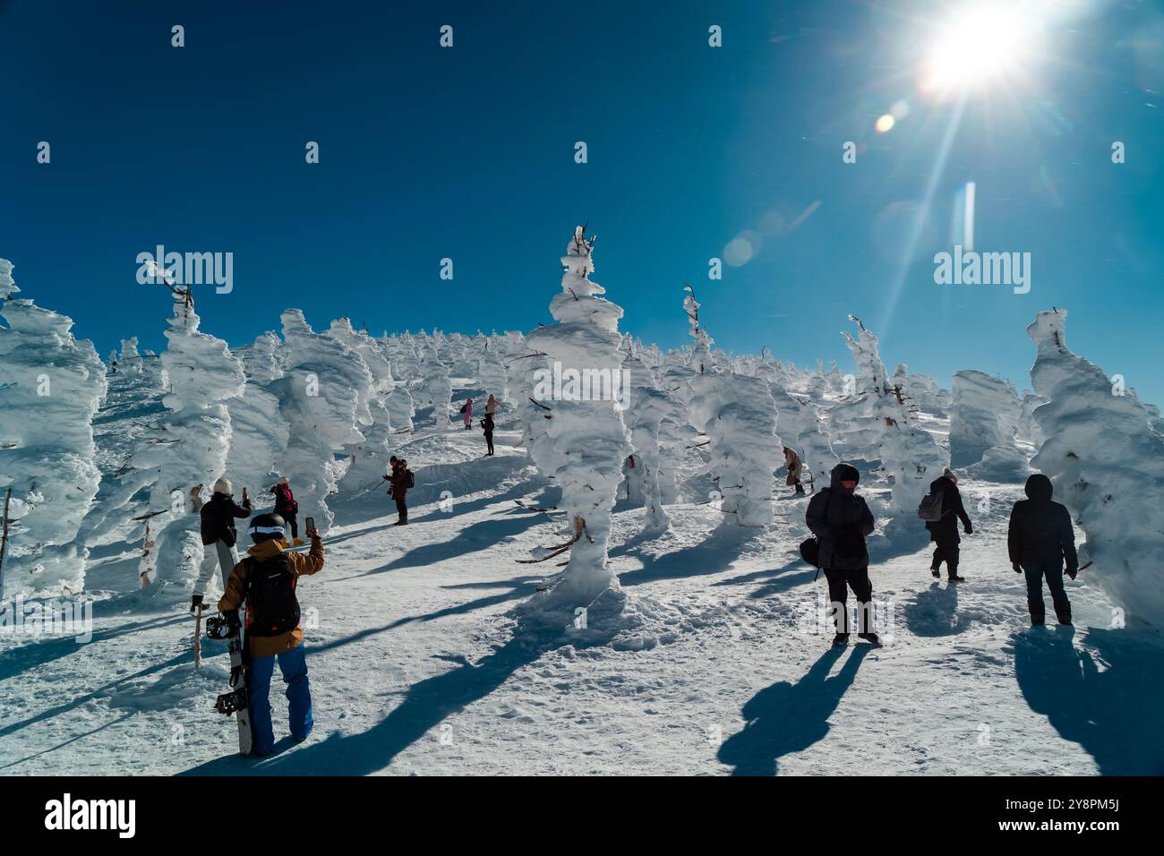 Hikers and skiers exploring the frozen "Snow Monsters" at Zao-Onsen in ...