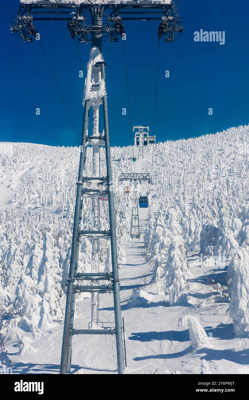 Ropeway and gondola through frozen, snow covered trees on a clear day ...