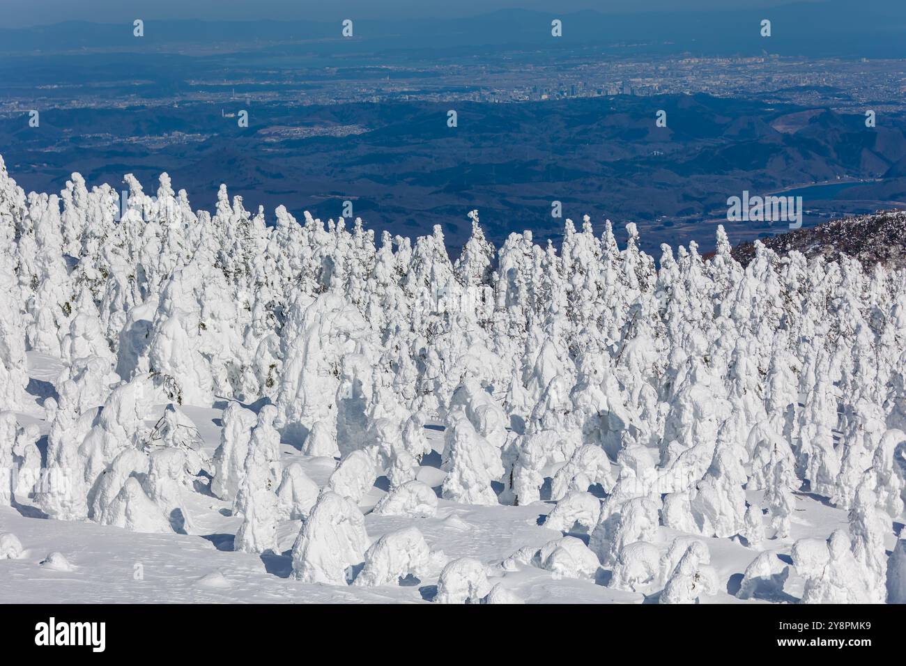 Snow and ice frozen tree "monsters" looking towards distant mountains ...
