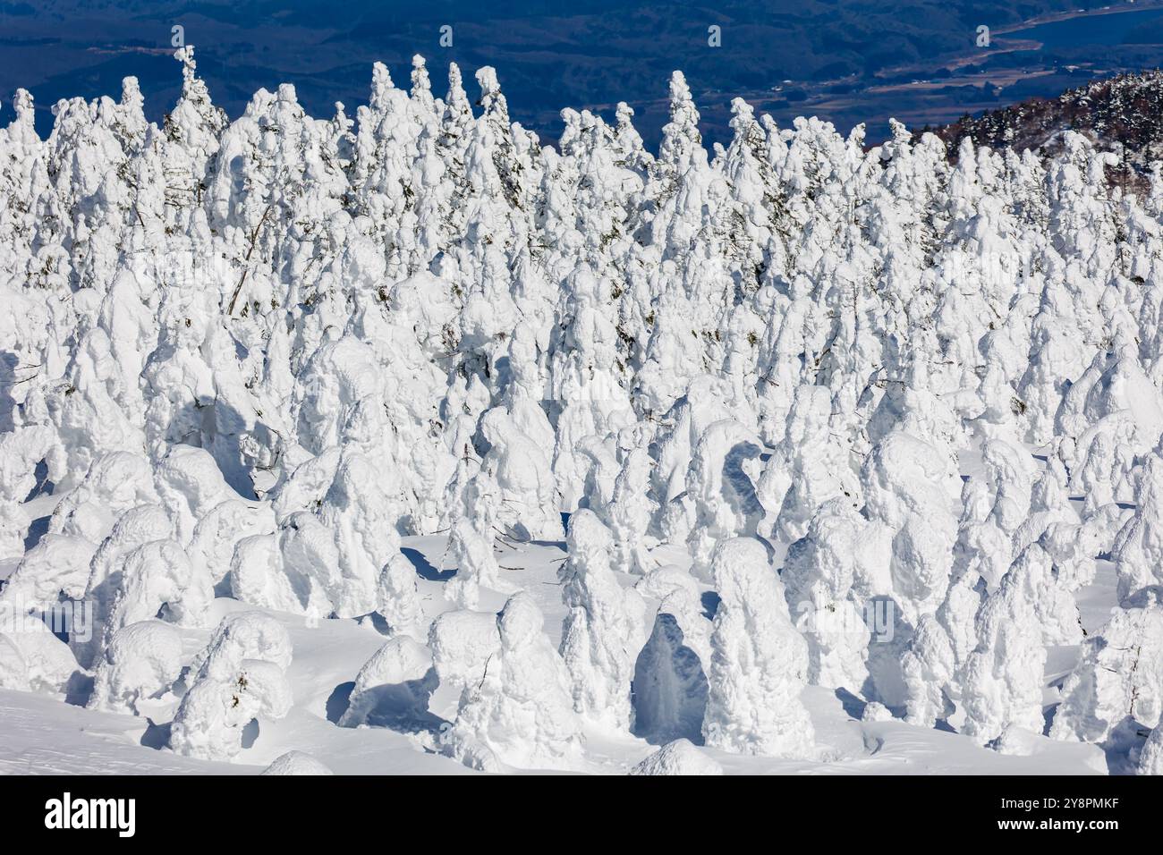 Snow Monsters at Zao-Onsen at Yamagata, Japan in winter Stock Photo - Alamy