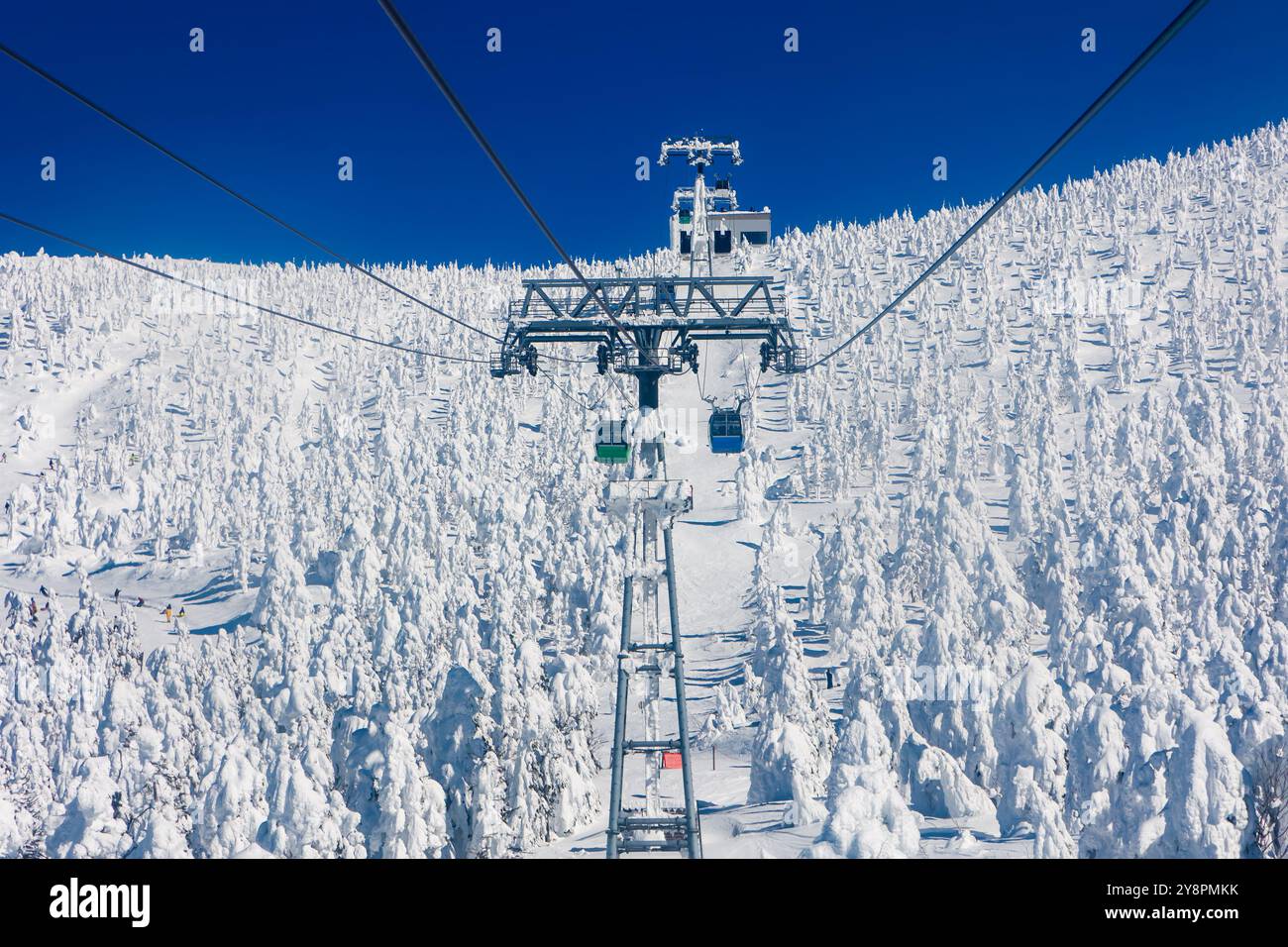 Ropeway and gondola through frozen, snow covered trees on a clear day ...