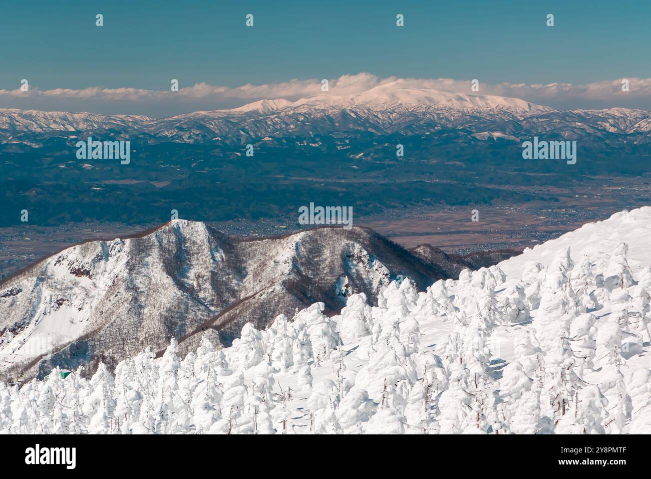 Snow covered frozen mountainside and forest on a cold winters day (Zao ...