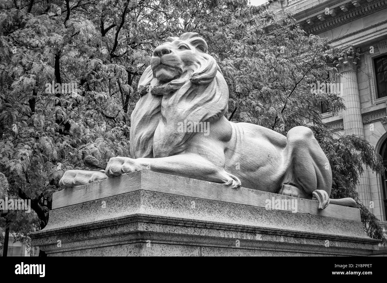 Marble usa lion statue Black and White Stock Photos & Images - Alamy