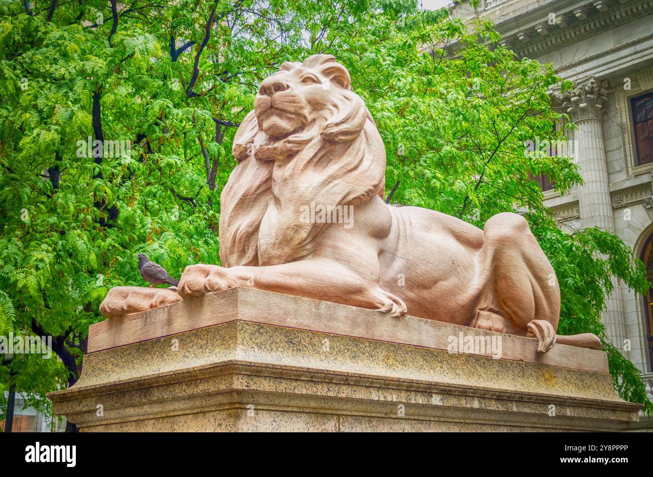Lion Statue Lion Sculpture, New York Public Library, New York, New