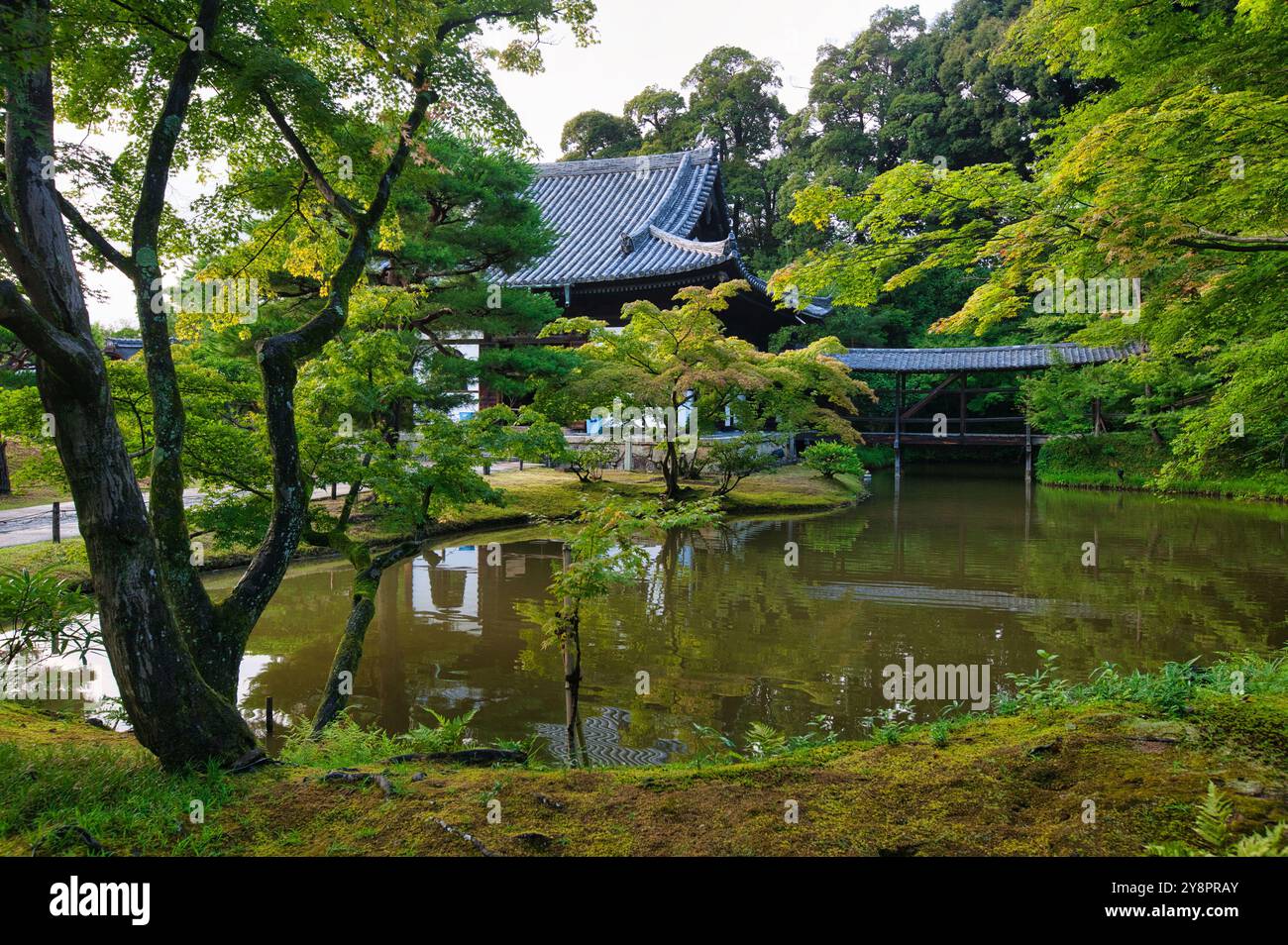 Kodaiji Temple, Gion, Kyoto, Japan Stock Photo - Alamy