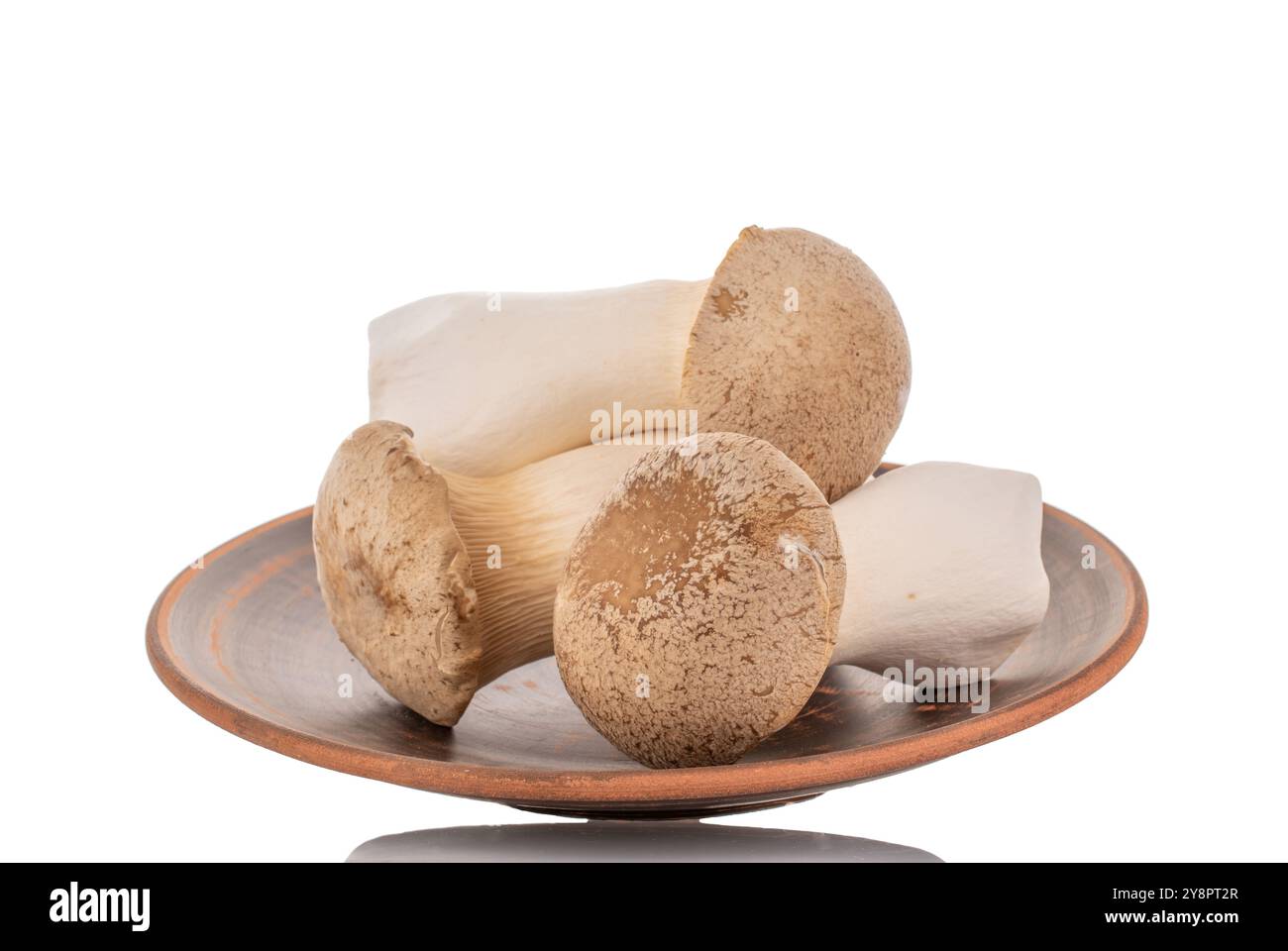 Fresh fragrant mushrooms royal oyster mushroom on a clay plate, macro ...